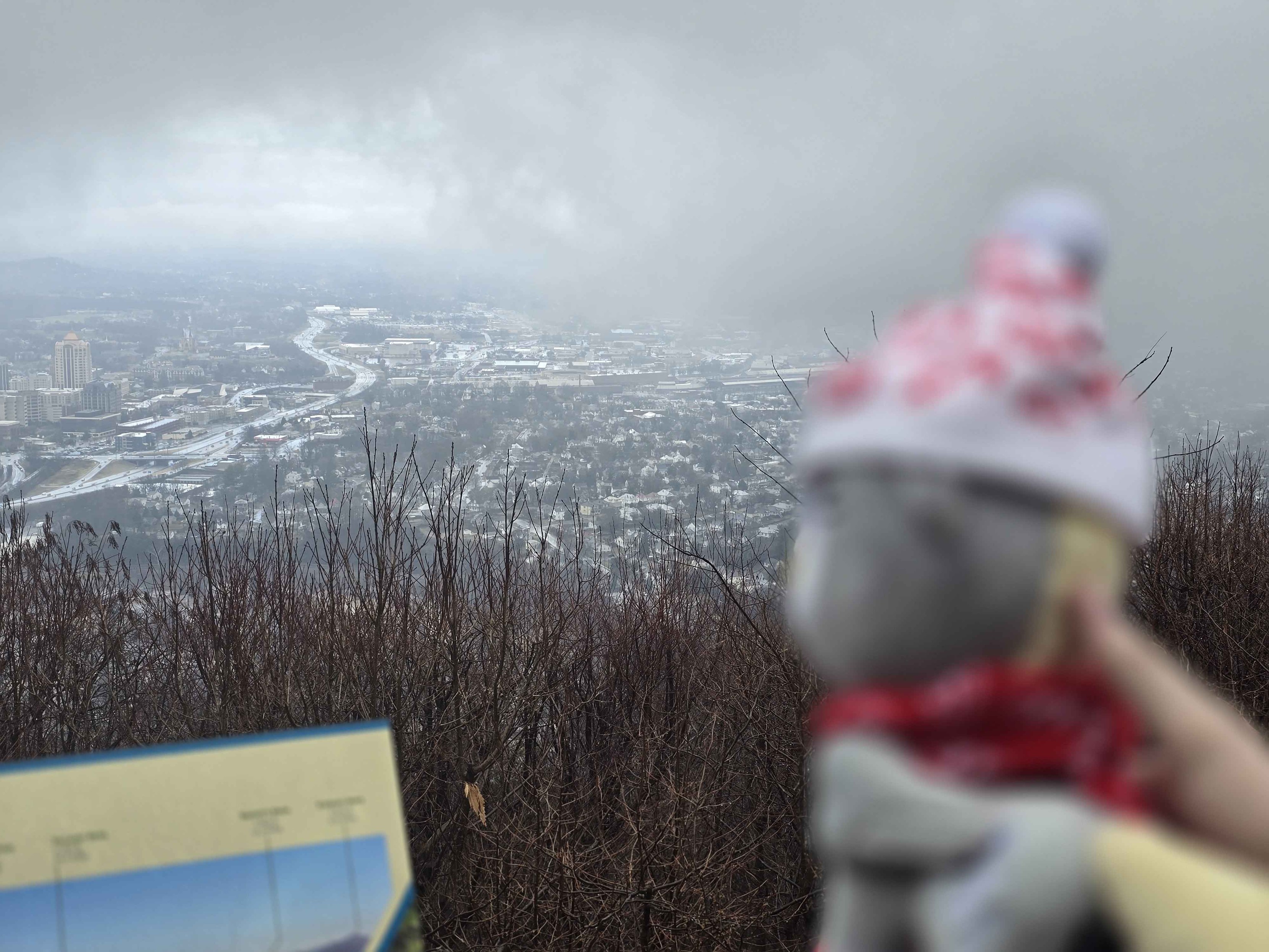 Quills (@Quilly@equestria.social) - Equestria Social Network